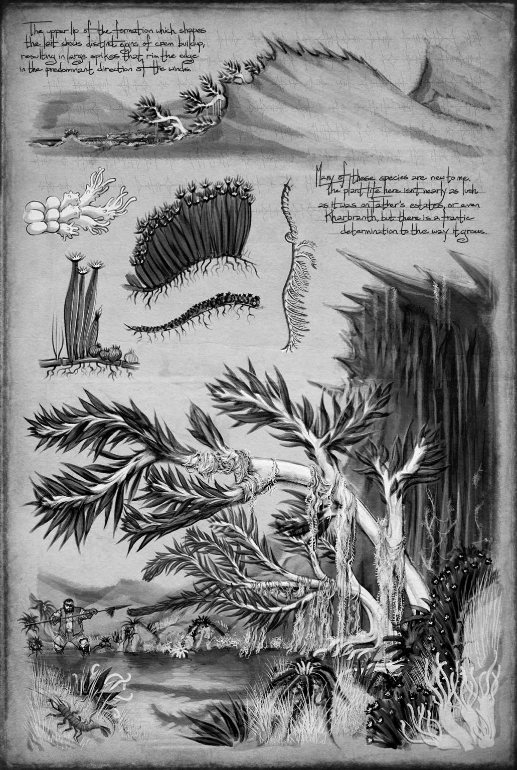 Todo sobre la ecología de Roshar – Cosmere.es